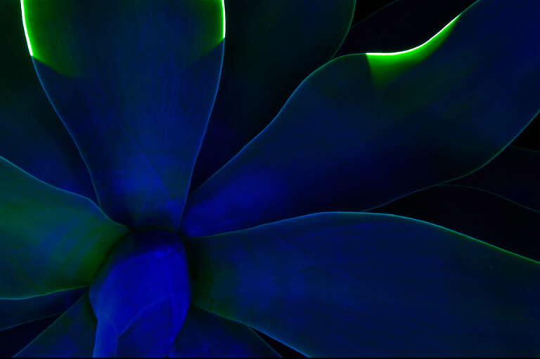 Portfolio - Vincent Versace